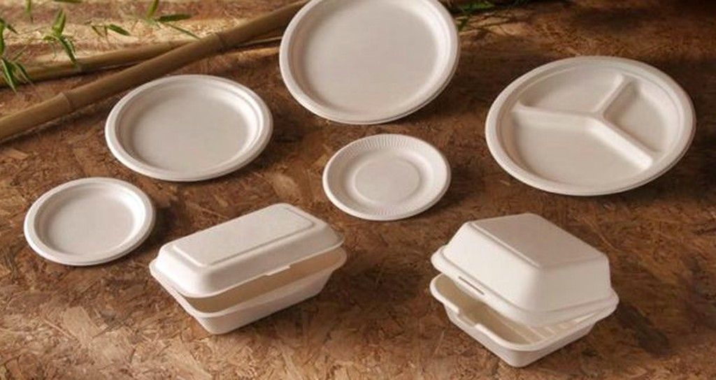 Envases Compostables, Reutilizables, de Bagazo y Caña de Azúcar ...